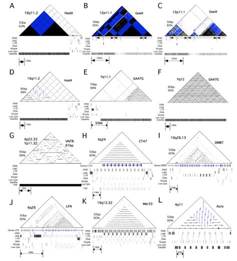 Dot Plot Analysis Of Tandem Arrays Reveals Higher Order Structure For