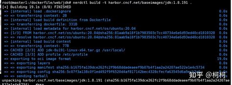 自定义镜像运行nginx及java服务并基于nas实现动静分离 知乎