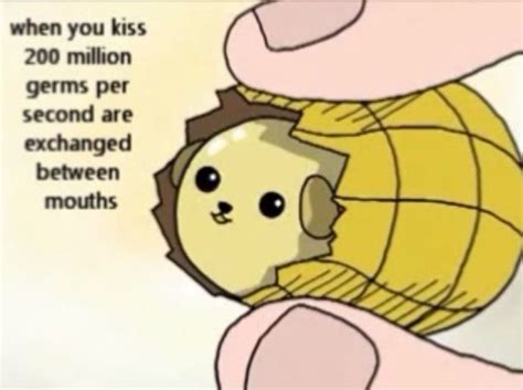 Cocoa Beans On Tumblr