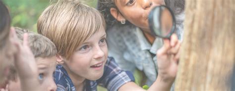 Forest School — Your Site Title