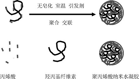 Method For Synthesizing Superparamagnetic Ferroferric Oxide Nano Particle In Situ By Induction