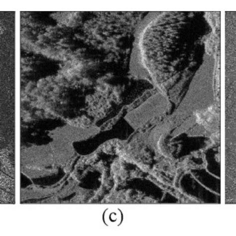 A The Large Scale Sar Image B The Corresponding Ground Truth Of Download Scientific