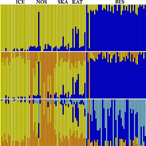 Admixture Plot Based On Snp Setb 145 Samples Seven Sampling Areas