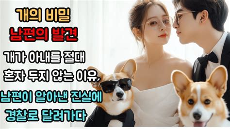 반전사연개가 아내를 절대 혼자 두지 않는 이유 남편이 알아낸 진실에 경찰로 달려가다 Tv 실제사연 실제사연tv Youtube