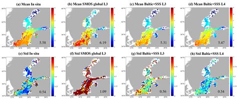 Comparative Analysis Between Sea Surface Salinity Derived From Smos Satellite Retrievals And In