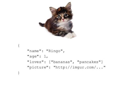 Json Schema Validation For Cats Pycon Apac