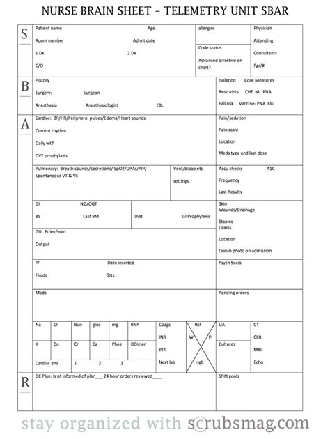 Nurse Brain Sheet Editable Fill Online Printable In Nurse Report