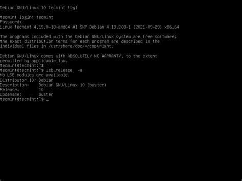 How To Install A Debian 10 Buster Minimal Server
