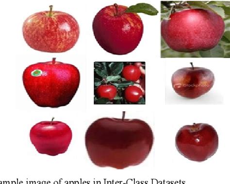 Figure 1 From Fruit Detection And Recognition Using Faster R Cnn With Fpn30 Pre Trained Network