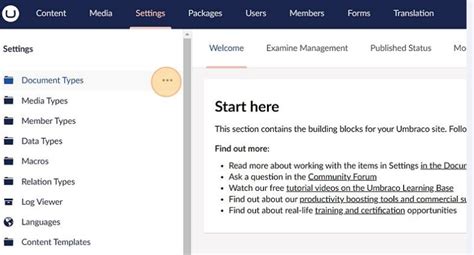 Umbraco 11 Net 7 React Hooks Part 1 Dev Community