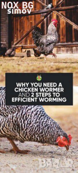 Диатомит диатомична пръст срещу паразити акари при птиците 30лв гр София Nox Bg 24443