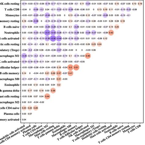 Correlation Analysis Of 22 Types Of Immune Cells Red Positive Download Scientific Diagram