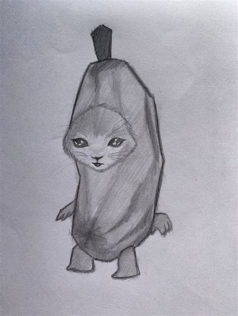 The Banana Cat Sketches Drawings Sketch Book
