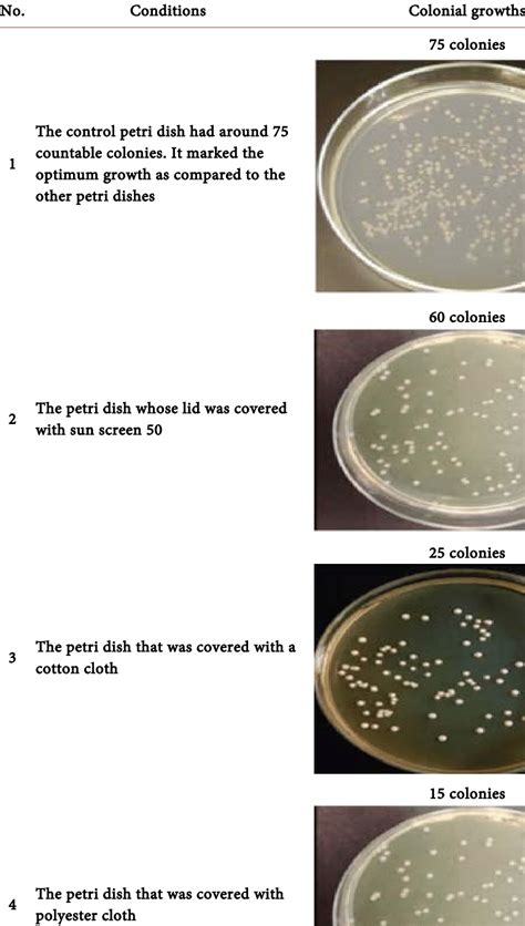 Number Of Colonies In Reference To The Condition Download Scientific Diagram