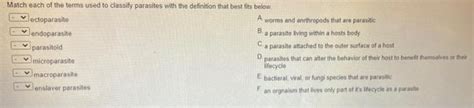 Solved Match Each Of The Terms Used To Classity Parasites Chegg Com