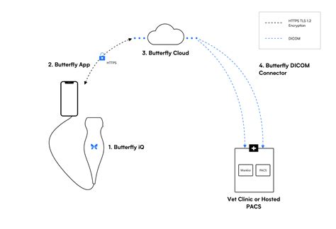 butterfly iq vet dicom connectivity guide from butterfly cloud
