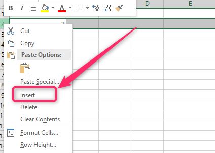 How To Insert A Blank Row After Every Row In Excel Tips VBA Code Basic Excel Tutorial