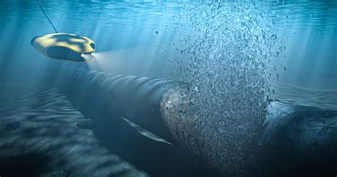 Дания прекратила расследование взрывов на «Северных потоках Радио 1