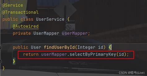 Springboot三mapper Spring Boot Starter Csdn博客