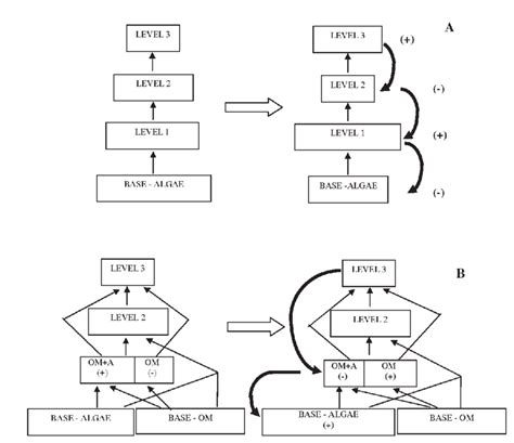7 Examples Of Trophic Cascade Globally Causes Environment Go