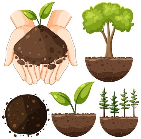 Free Vector Set Of Plant And Soil