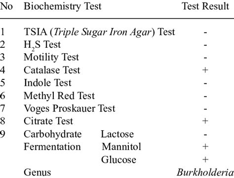 Biochemical Test Results Of Endophytic Phytase Producer Bacterial