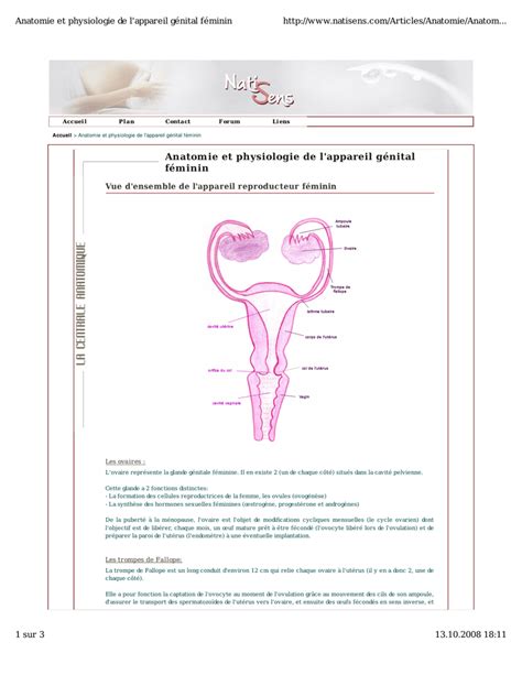 Anatomie Et Physiologie De L`appareil Génital Féminin