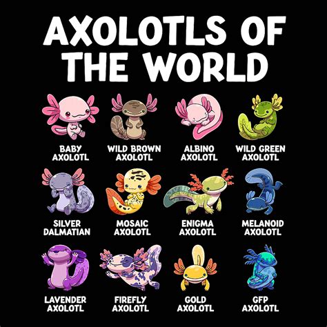 Axolotls Of The World Kawaii Types Of Axolotl Fish Amphibian Inspire Uplift