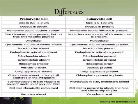 Classification Of Organisms Ppt