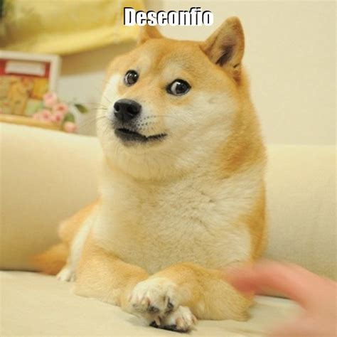 Minha comida caiu no chão Memes Engraçados