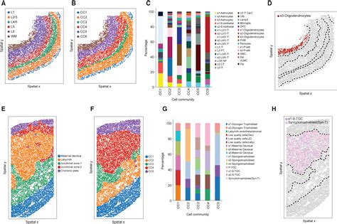 Tissue Module Discovery In Single Cell Resolution Spatial Transcriptomics Data Via Cell Cell