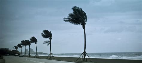 How To Handle Hurricane Aftermath Chubb