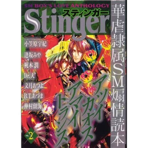 STINGER2 モテるBLブログ