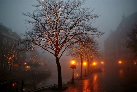 배경 화면 크리스마스 조명 젖은 안개 나무 건물 등 사진술 도시 어두운 밤 흐린 3872x2592