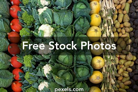 Different Crops Photos Download The Best Free Different Crops Stock
