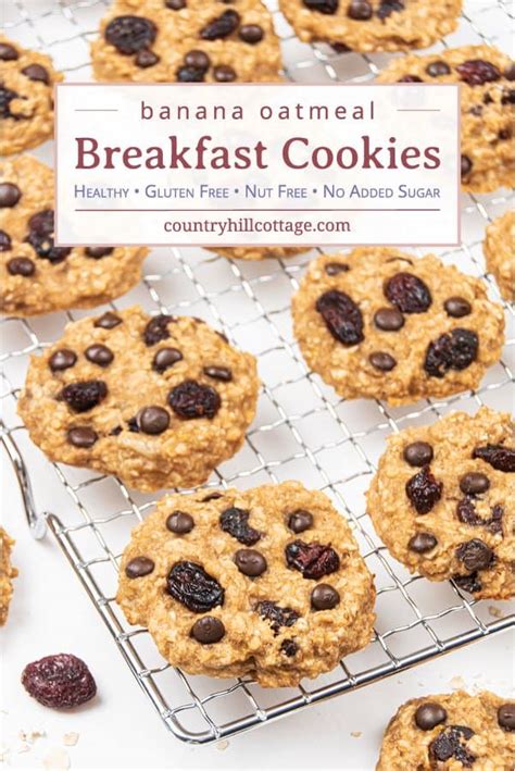 Banana Oatmeal Breakfast Cookies Healthy Gluten Free Recipe