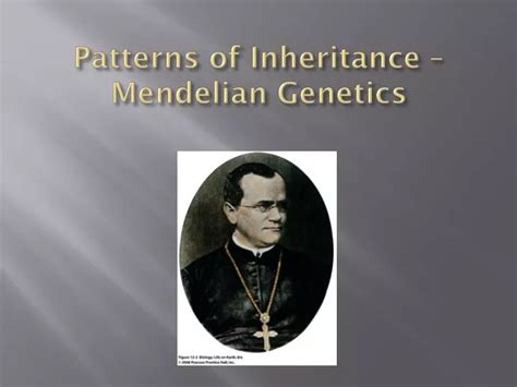 PPT Patterns Of Inheritance Mendelian Genetics PowerPoint Presentation ID 2470195