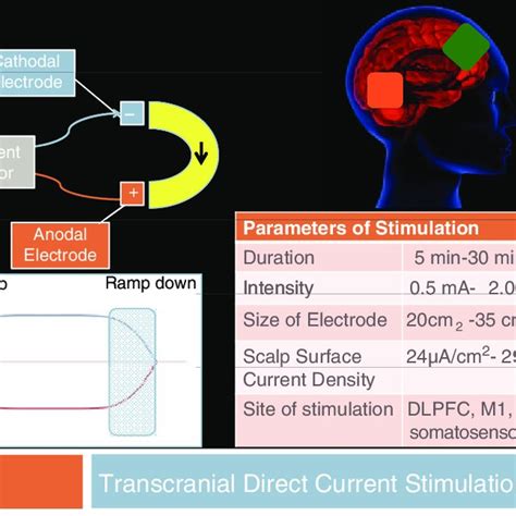 Main Characteristics Of Transcranial Direct Current Stimulation Tdcs Download Scientific