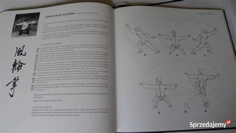 Santer Shaolin Chi Kung 18 Exercises Rare Luohan Qigong Radom