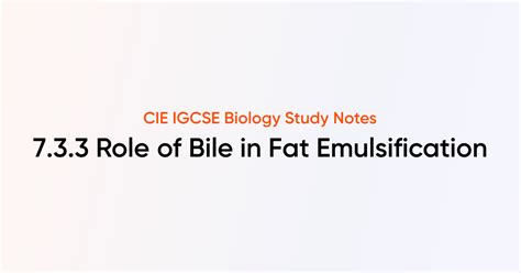Role Of Bile In Fat Emulsification 733 Cie Igcse Biology Notes