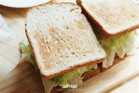 크랜베리 치킨 샌드위치 만들기