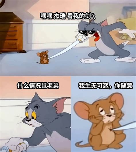 好多汤姆拿剑刺杰瑞，然而杰瑞一脸生无可恋的样子 网友们分享制作的梗图