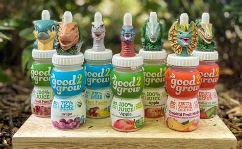 In The Cooler Top 5 Picks For Back To School Lunches Columbia