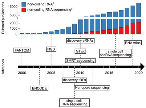 Advances In Non Coding Rna Sequencing