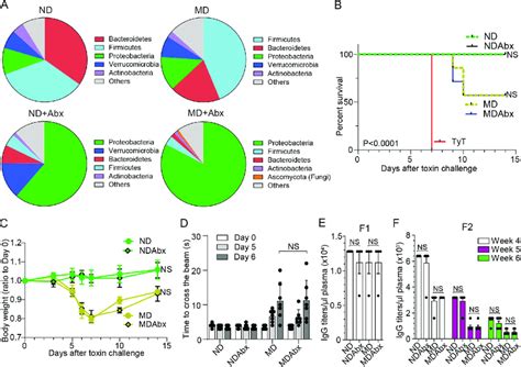 Md Induced Gut Microbiome Alterations Had No Effects On Maternal Download Scientific Diagram