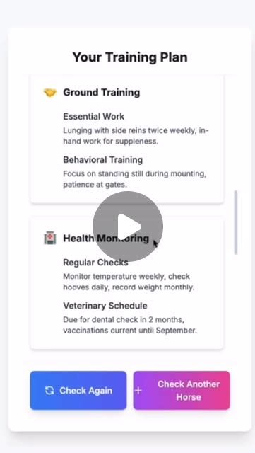 The Best 16 Apps For Horse Riders And Owners In 2025