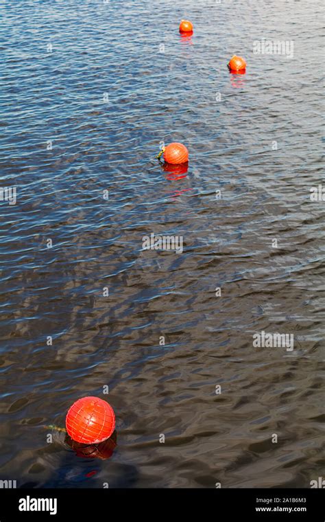 Four Bright Orange Buoys Floating On River Water Surface Set Of Four Orange Safety Buoys