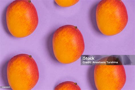 잘 익은 열 대 망고의 패턴은 보라색 배경 평면도 최소한의 구성 여름 과일 개념 평 신도 간다 망고에 대한 스톡 사진 및 기타 이미지 Istock