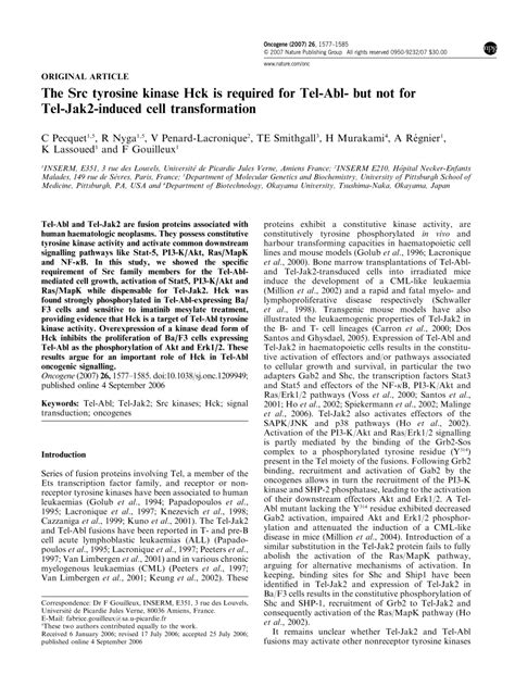 Pdf The Src Tyrosine Kinase Hck Is Required For Tel Abl But Not For
