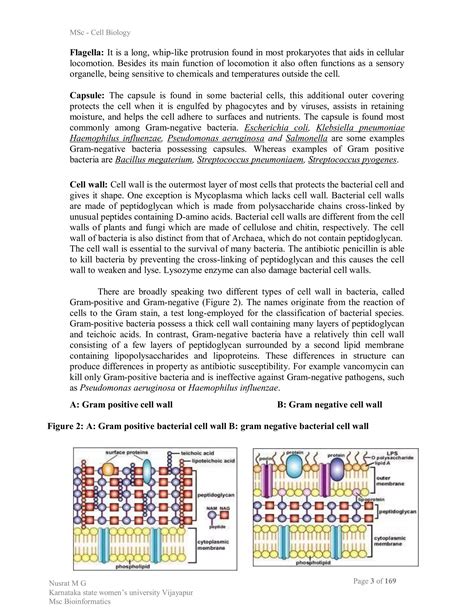 unit 1 cell biology pdf biological sciences science